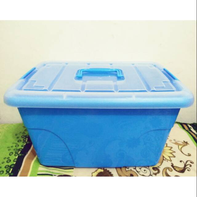 Jual Box baby bird ukuran besar (L) | Shopee Indonesia