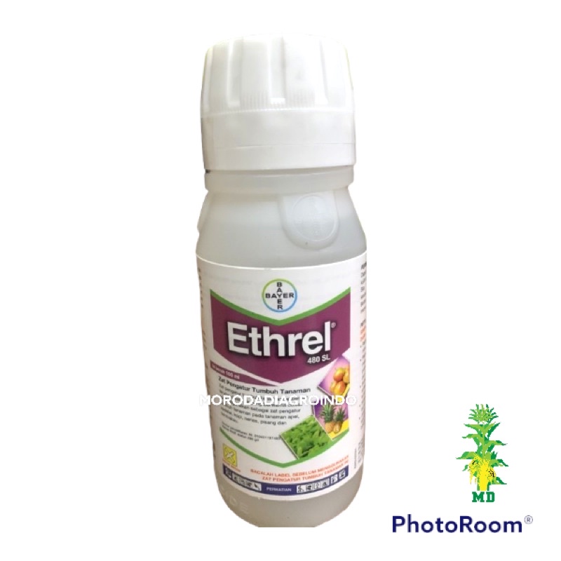 Jual ZPT Ethrel untuk pemasak buah 100 ml | Shopee Indonesia