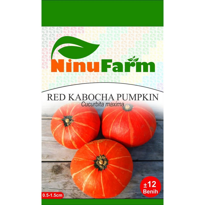 Jual Benih Bibit Labu Kabocha/Kabocha Orange Pumpkin Ninufarm (12 Butir ...