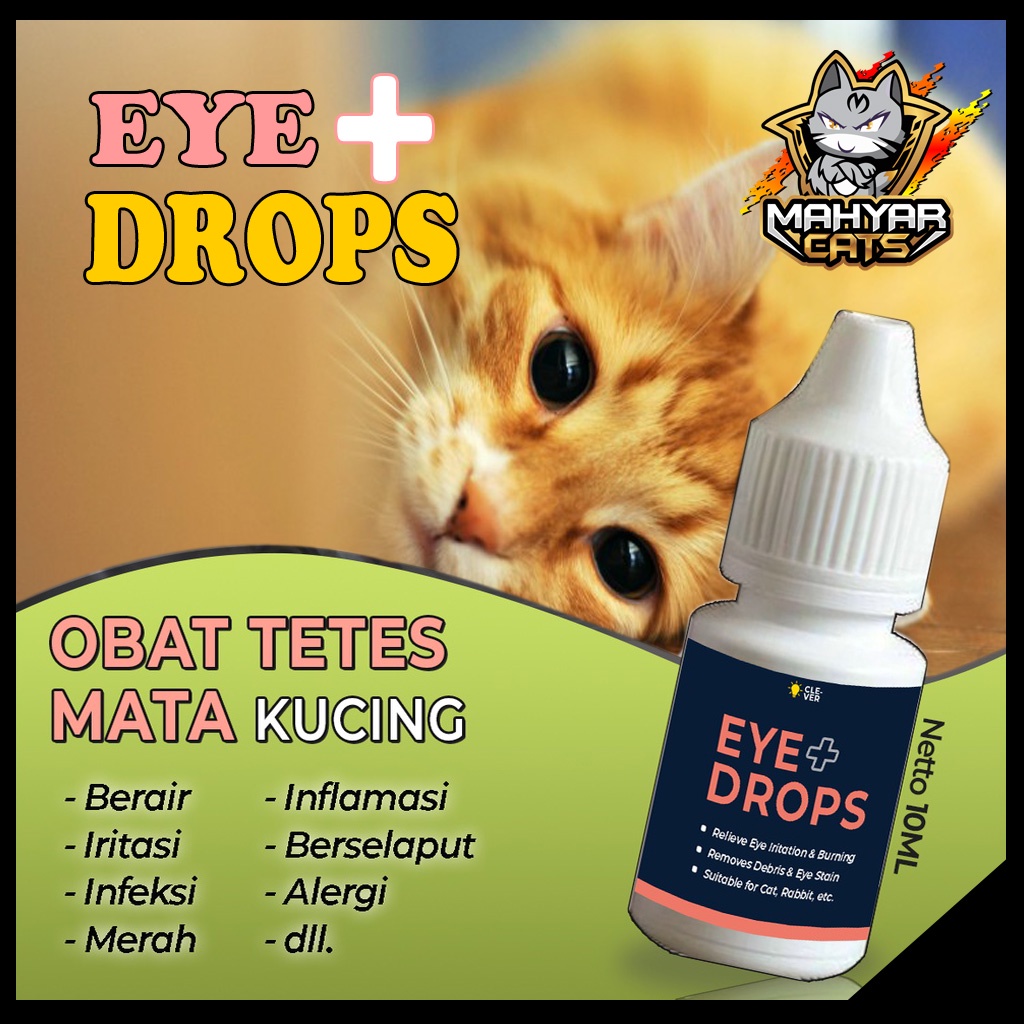 Jual Obat Tetes Mata Kucing EYE PLUS DROPS Obat Sakit Mata Kucing ...