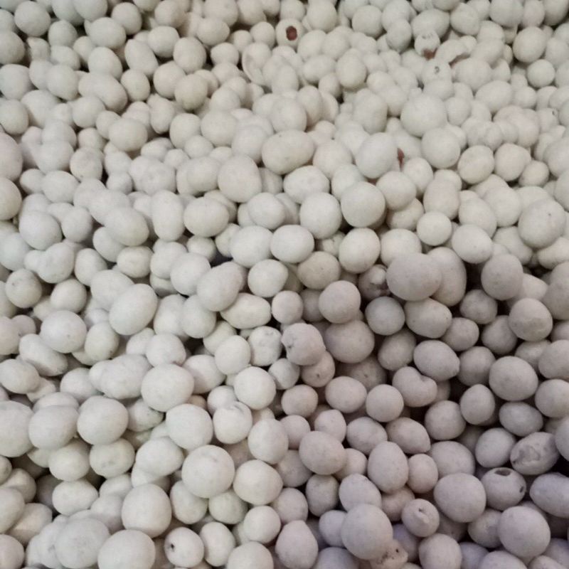 Jual KACANG SUKRO 250GRAM || SUKRO KACANG ATOM 250GRAM | Shopee Indonesia