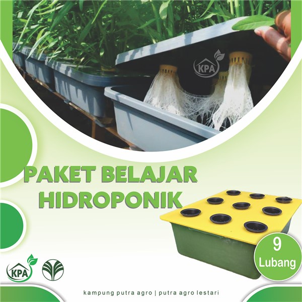 Jual Paket Hidroponik Pemula - Hidroponik Sistem Wick - Paket Berkebun Hidroponik | Shopee Indonesia