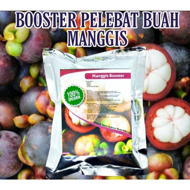 Jual Pupuk organik booster perangsang dan pelebat buah manggis serbuk terbaik agar cepat berbuah ...