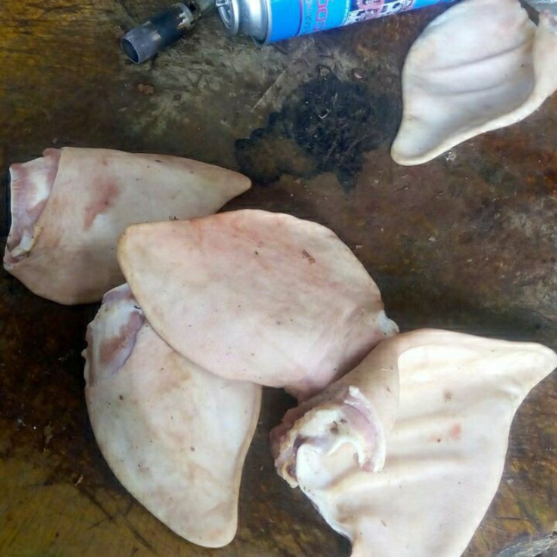Jual PORK EAR/ KUPING BABI (HARGA PER PASANG) | Shopee Indonesia