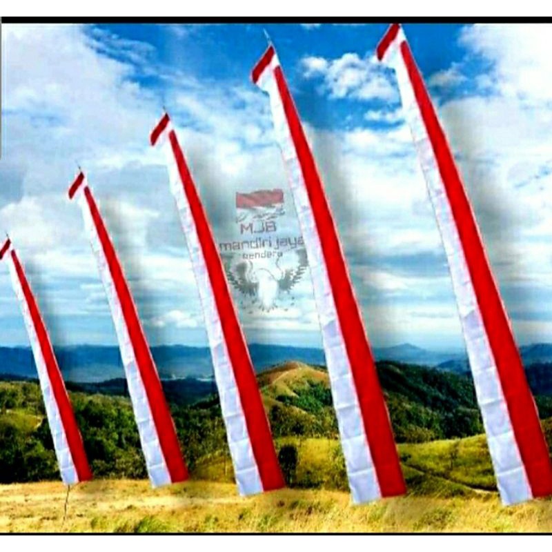 Jual Bendera umbul umbul Layur 3 & 4 meter. merah putih Polos | Shopee Indonesia