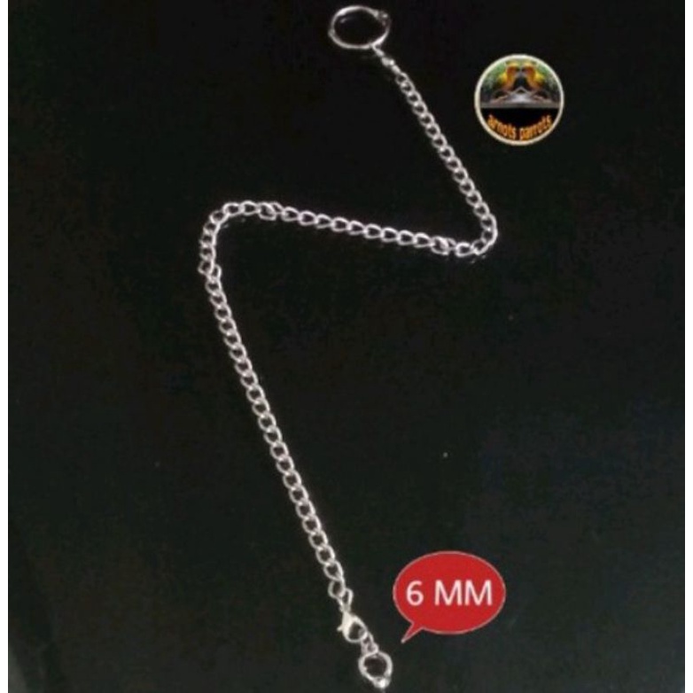 Jual RANTAI RING BORGOL BURUNG FALK COCKATIEL 6 MM | Shopee Indonesia