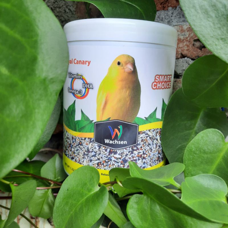 Jual Royal Canary Wachsen 600gr | Shopee Indonesia