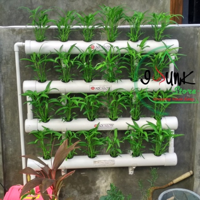 Jual HIDROPONIK SET WALL 24 HOLE - AQUALON | Shopee Indonesia