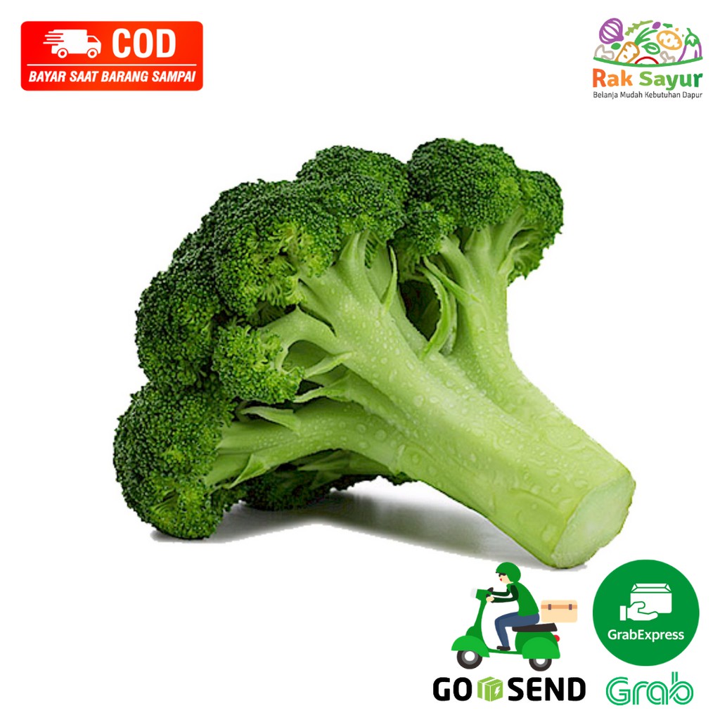 Jual Brokoli Hijau 500gr Sayuran Segar Rak Sayur Padang Fresh | Shopee ...