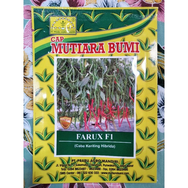 Jual Benih Cabe Merah Keriting FARUX F1 Kemasan 10 Gram - CMK FARUX F1 ...