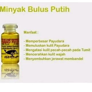 Jual minyak bulus putih Harga Terbaik & Termurah Juli 2025 | Shopee ...