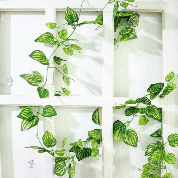 Jual Iludiradecor - Daun Rambat Artificial 5 Motif Daun Panjang 1m ...