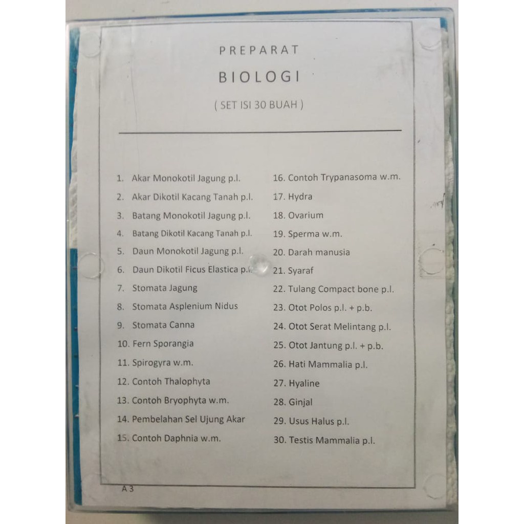 Jual Preparat Biologi Set Of 30 | Shopee Indonesia