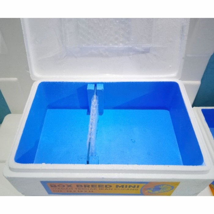 Jual BOX BREEDS MINI AVATAR/WADAH TERNAK IKAN CUPANG | Shopee Indonesia