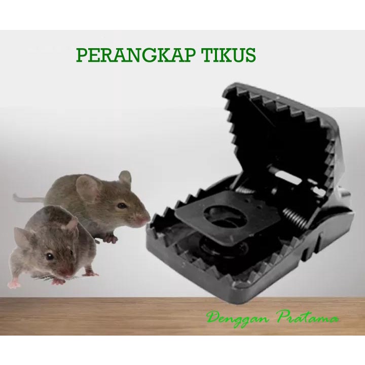 Jual Perangkap Tikus Mouse Trap Jebakan Tikus | Shopee Indonesia