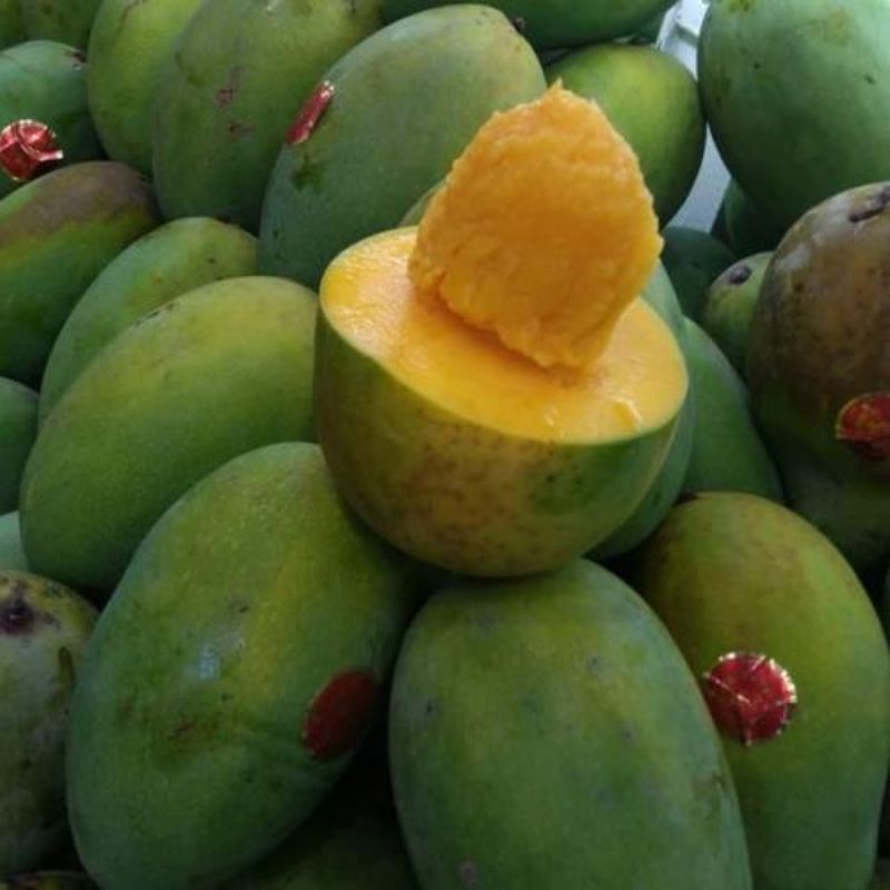 Jual Mangga Buah Mangga Harum Manis Segar 1 kg SAYUR GEDEBAGE PRAKTIS ...