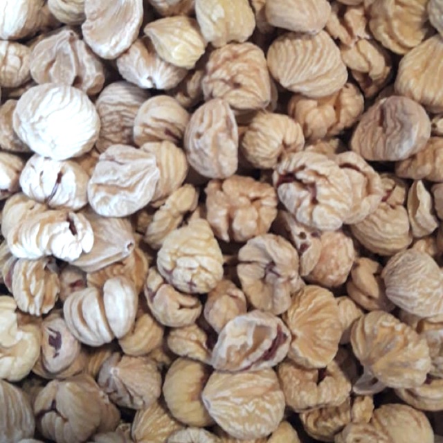 Jual Lakci / Chestnut 1kg | Shopee Indonesia