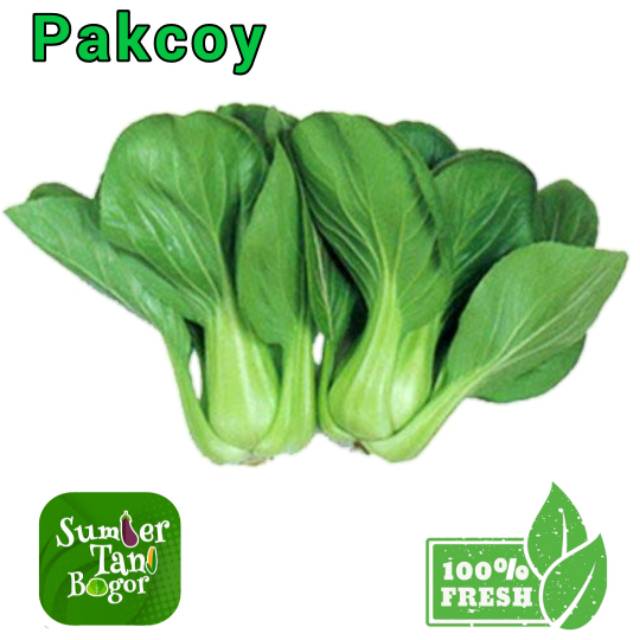 Jual PAKCOY PUTIH PER 500 GRAM | Shopee Indonesia