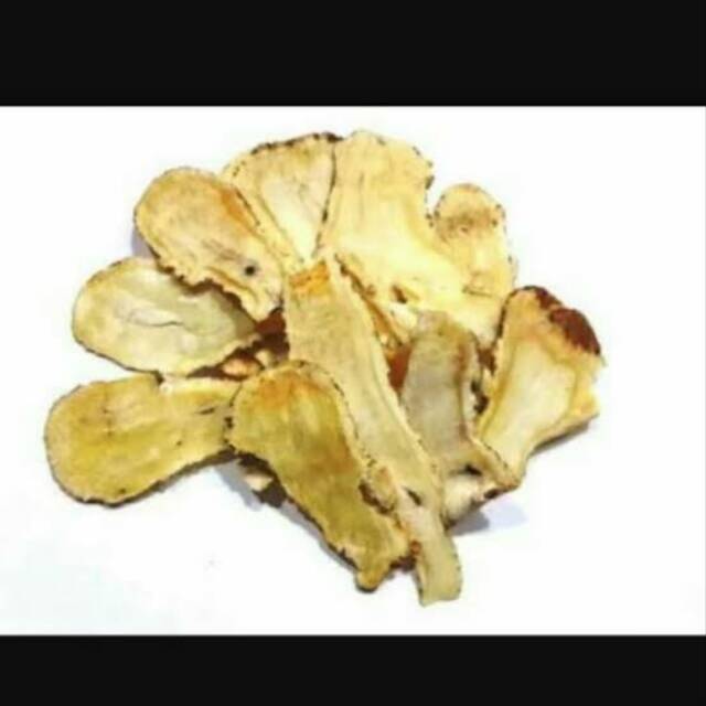 Jual Tong kui | Shopee Indonesia
