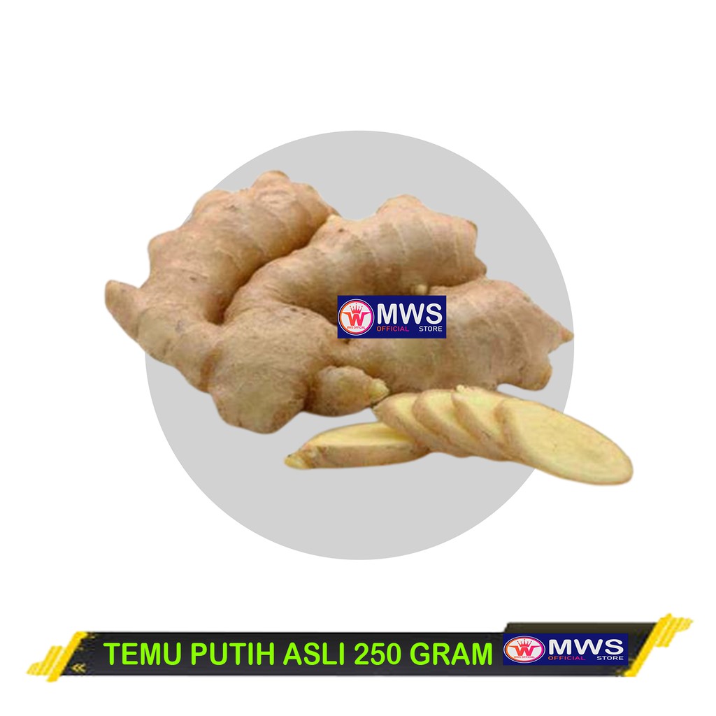Jual TEMU PUTIH SEGAR 250 GRAM CURCUMA ZEDOARIA FRESH KUNYIT KUNIR ...