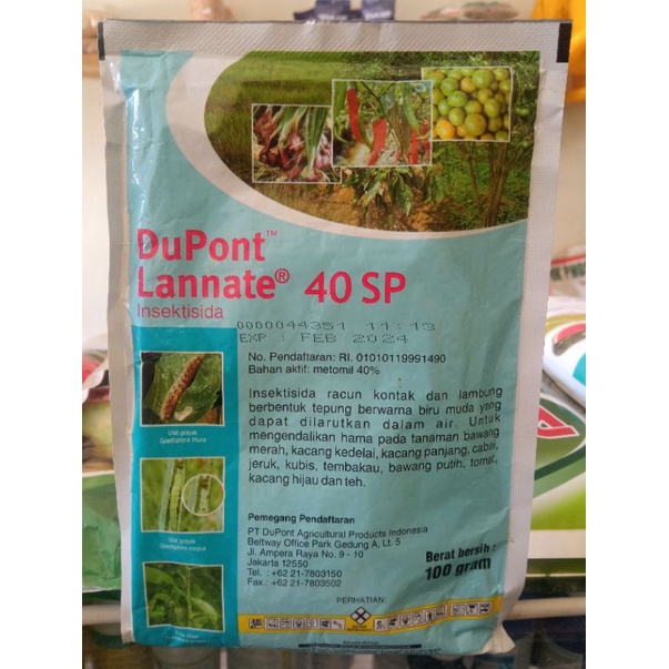 Jual INSEKTISIDA DUPONT LANNATE 40 SP 100 GRAM OBAT ULAT | Shopee Indonesia