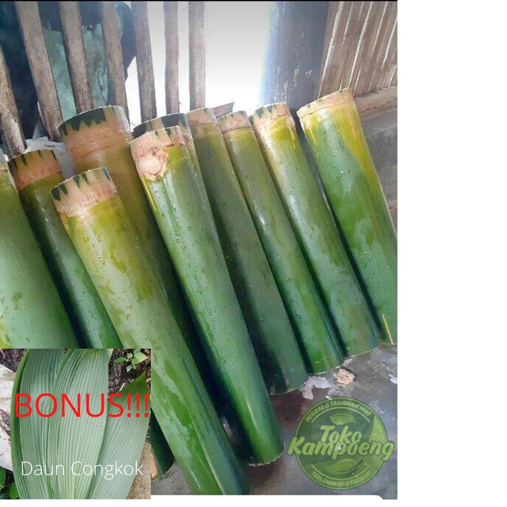 Jual Ruas Bambu / Batang Bambu untuk nasi lemang + daun congkok siap ...