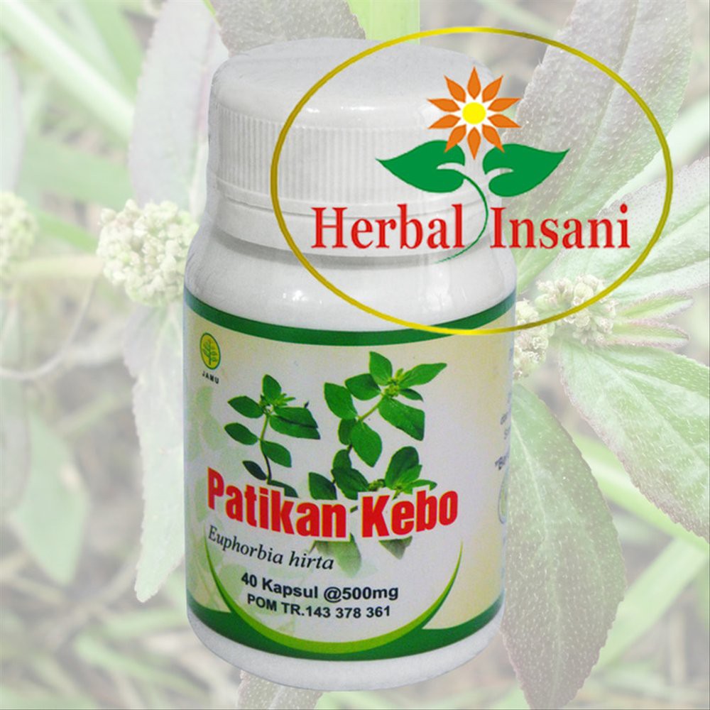Jual Kapsul Herbal Patikan Kebo ( Isi 40 Kapsul ) | Herbal Batuk ...