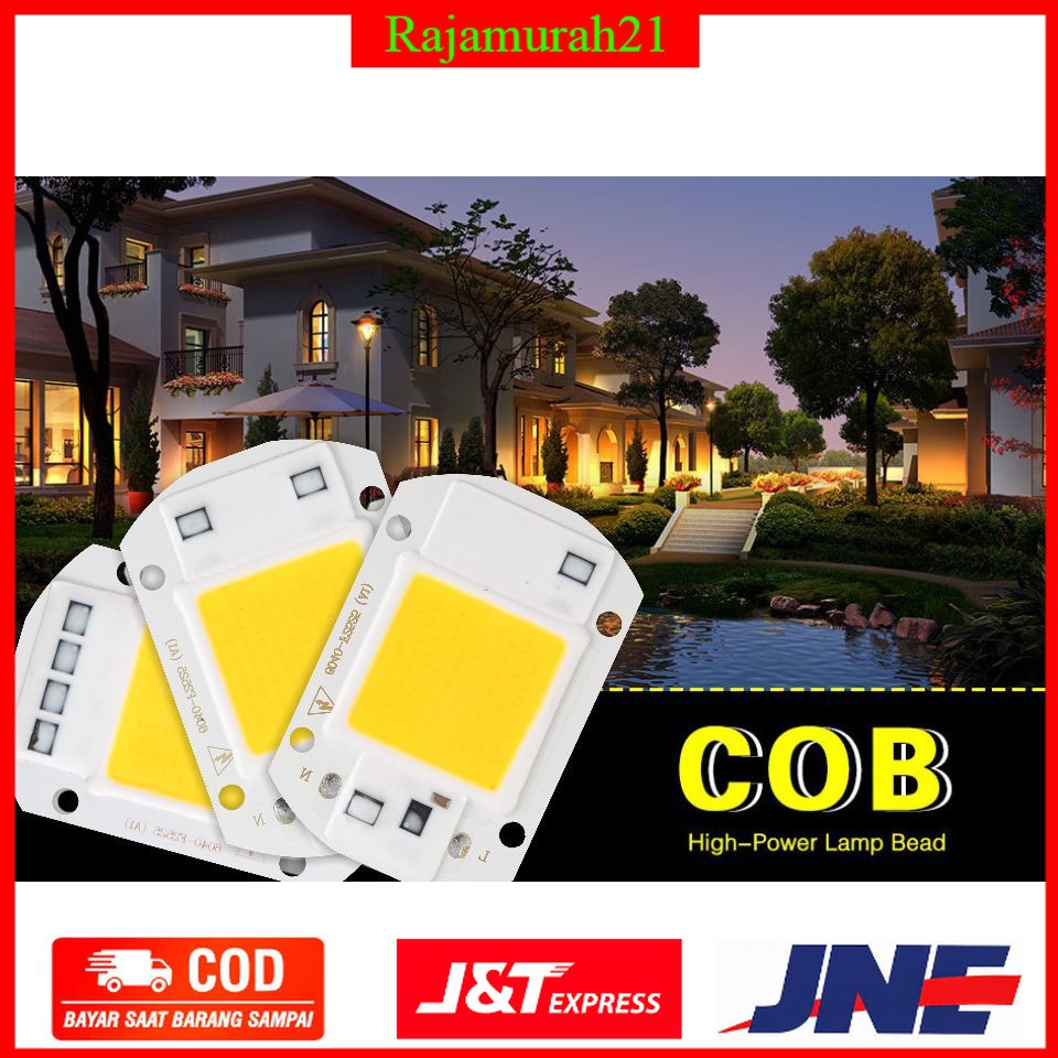 Jual Chip LED Lampu COB Floodlight Spotlight 220V Cool White 50W ...