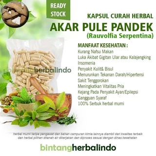 Jual pule pandak Harga Terbaik & Termurah Juni 2024 | Shopee Indonesia