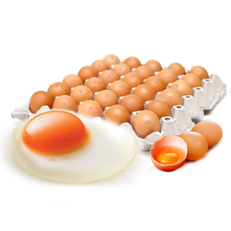 Jual Telor Omega / Telur Ayam Omega Per kg | Shopee Indonesia