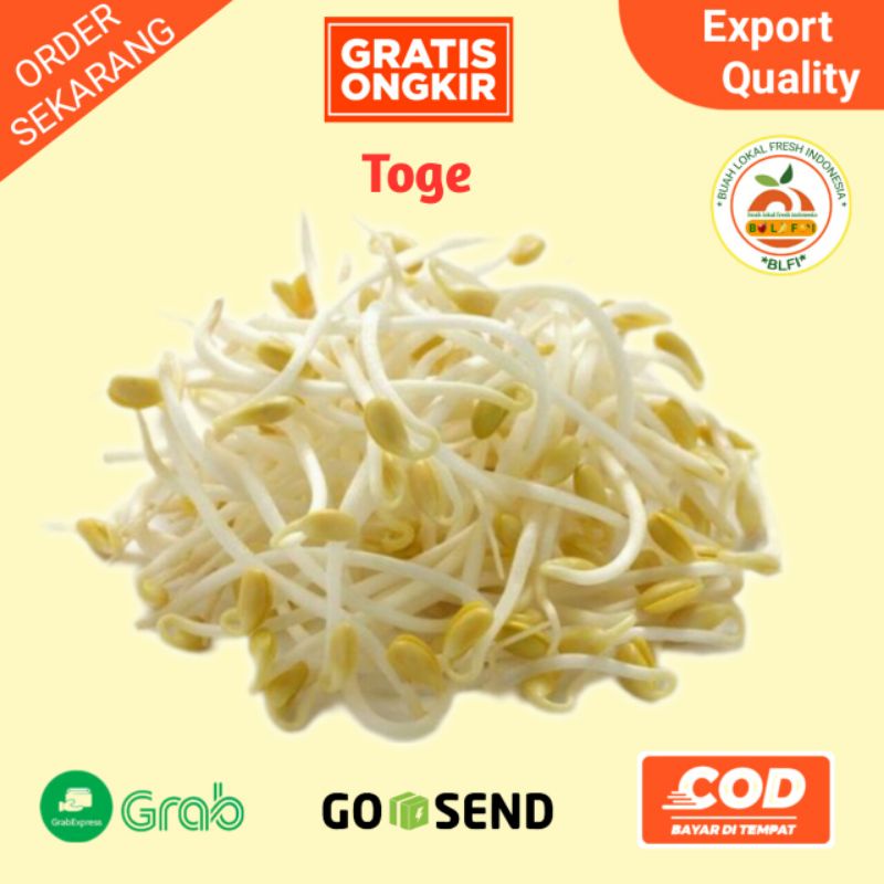 Jual TOGE / TAUGE BERSIH FRESH | Shopee Indonesia