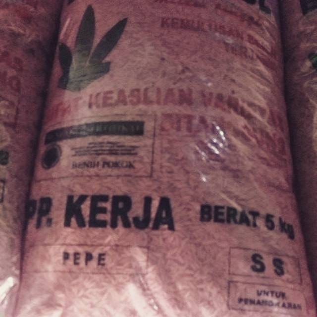 Jual Pepe kerja | Shopee Indonesia