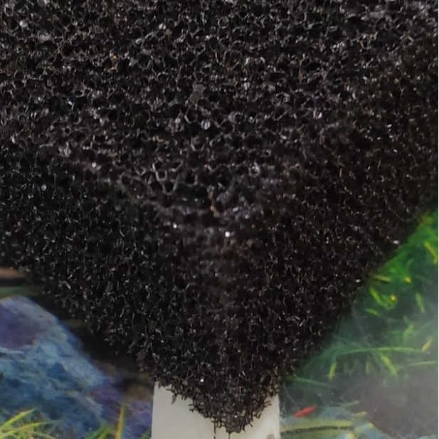 Jual BIOFIL HITAM / BUSA BIOFOAM HITAM 25 X 10 CM MEDIA FILTER DAN ...