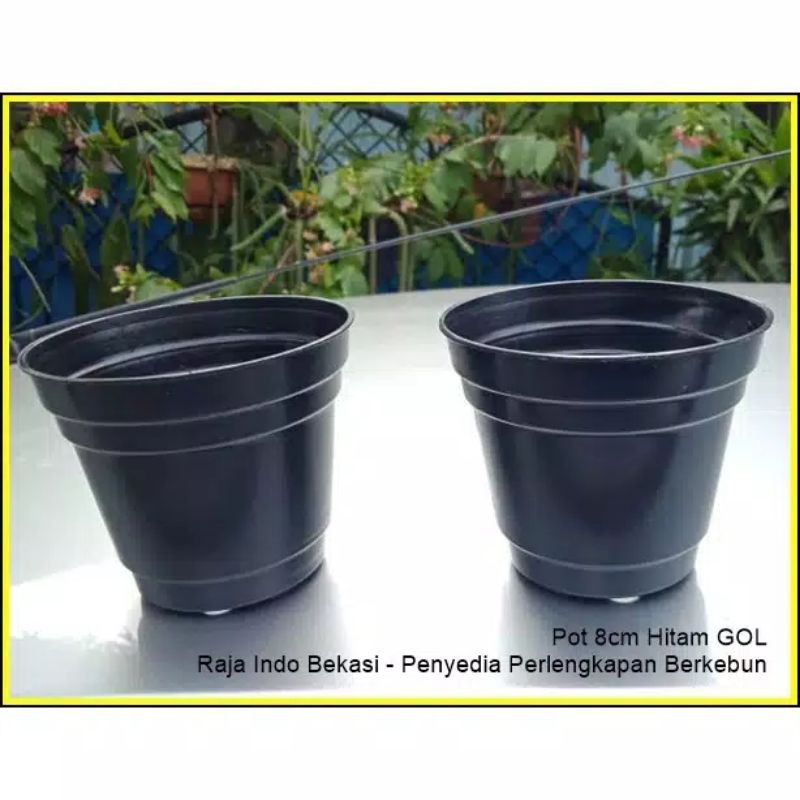 Jual [Paket Hemat isi 5] pot kecil ukuran 8/pot cantik/pot unik ukuran ...