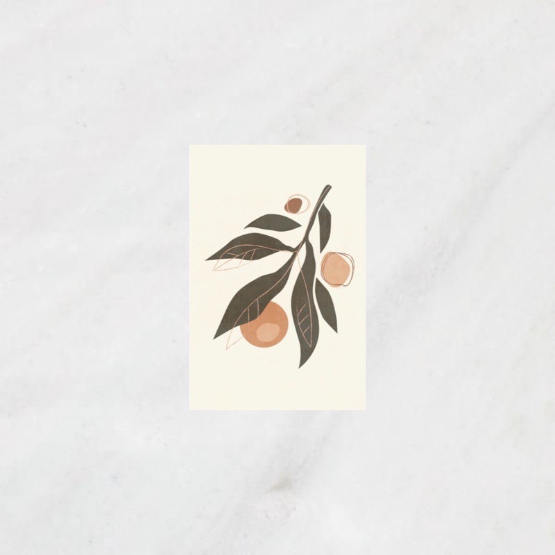 Jual ( aesthetic.scratch ) poster vintage / bohemian / retro / line art ...