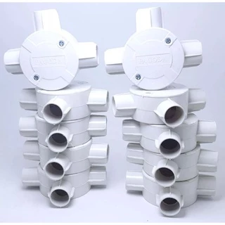 Jual T Dus Terlengkap & Harga Terbaru November 2024 | Shopee Indonesia