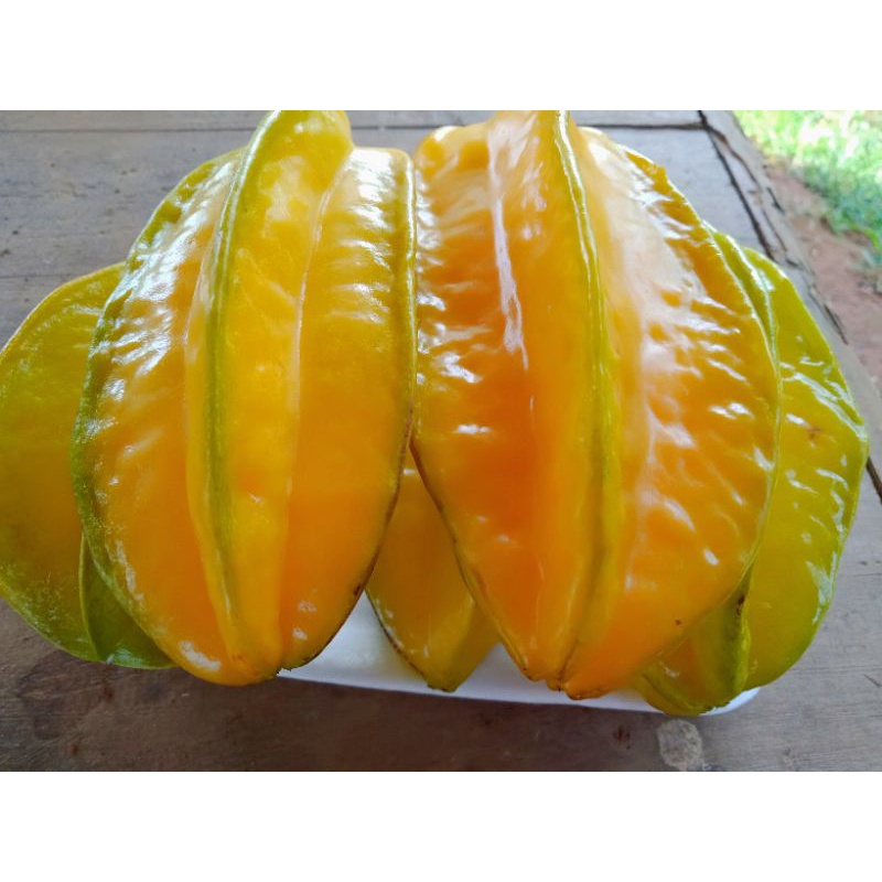Jual Belimbing_Madu_Blimbing_Manis_Jumbo Segar Petik dari pohonnya l ...