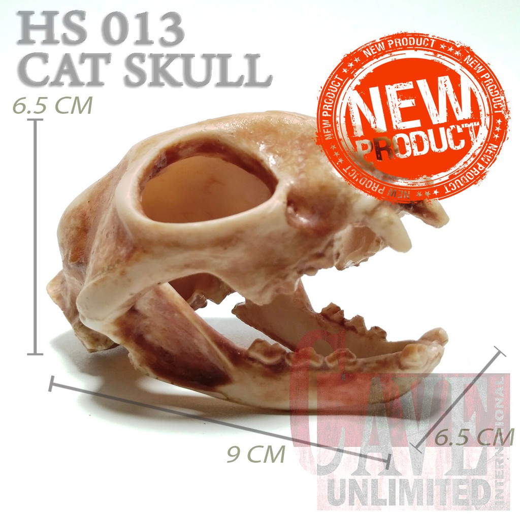 Jual HS014 HIDING SKULL CAVE TENGKORAK KEPALA KUCING CAT ORNAMEN ...