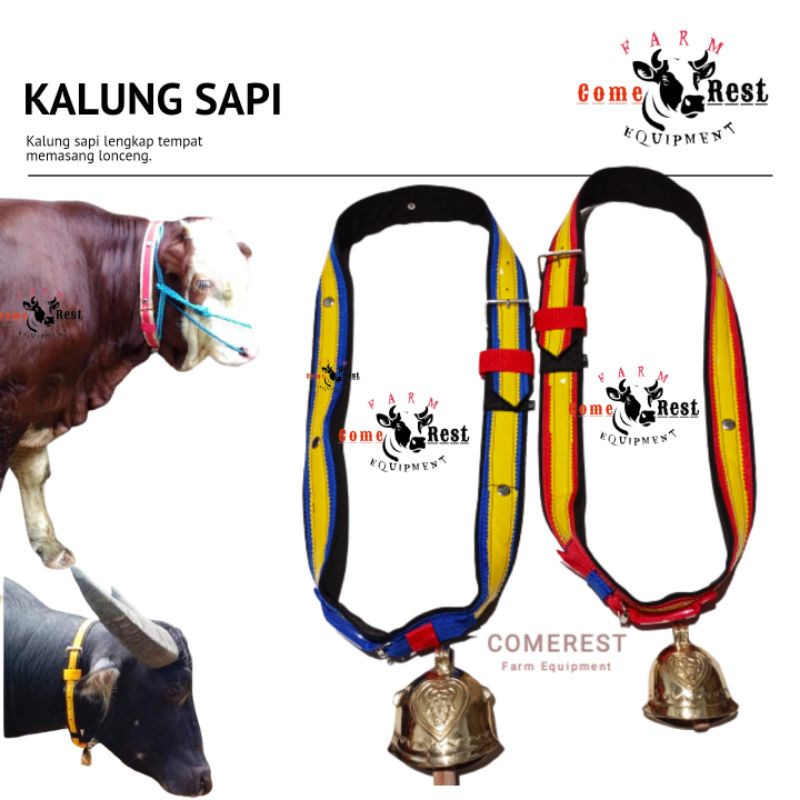 Jual Kalung sapi Lebar 4cm | Shopee Indonesia