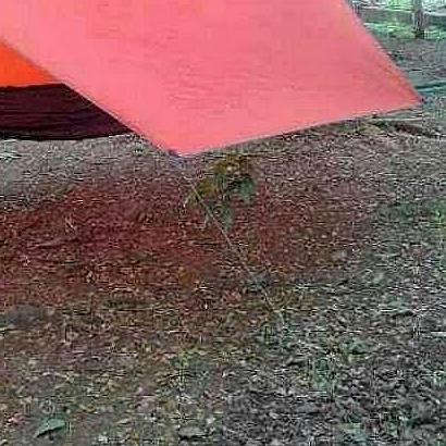 Jual ♕ 【Warna Dipilih】 Hammock & Flysheet 2x3 M` Flesit` Hamock Hamok ...