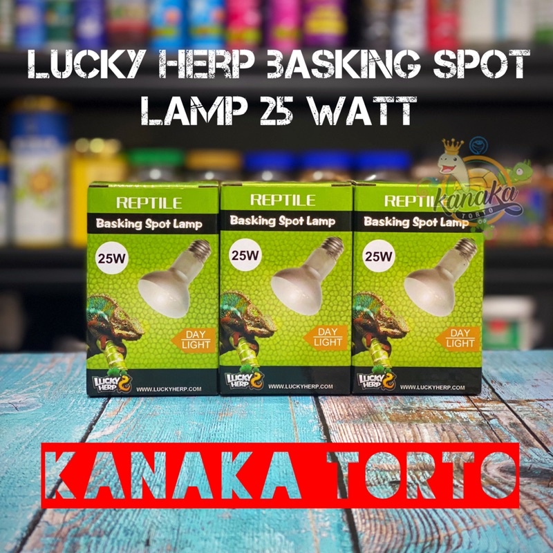 Jual Lucky Herp Basking Spot Lampu Pemanas UVA Reptil Kadal Bearded ...