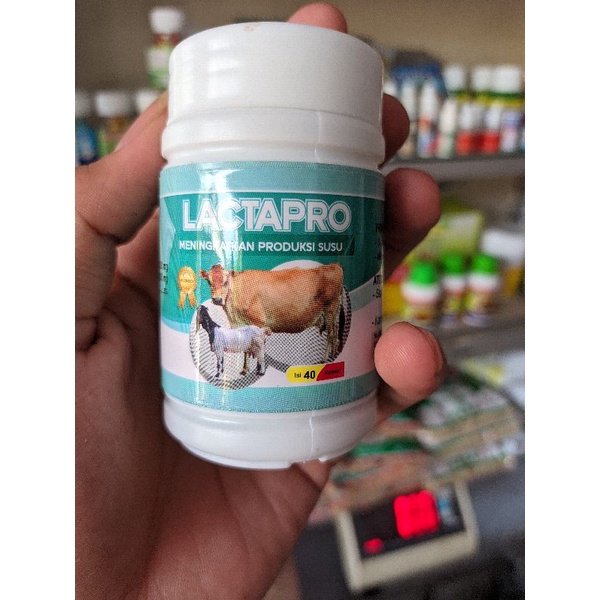 Jual LACTAPRO 40 kapsul - PENINGKAT PRODUKSI SUSU SAPI KAMBING DLL | Shopee Indonesia
