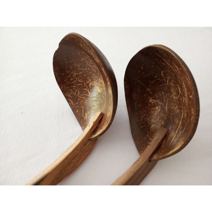 Jual Irus Dari Batok Kelapa Gagang Kayu Sonokeling Panjang 38 Cm ...