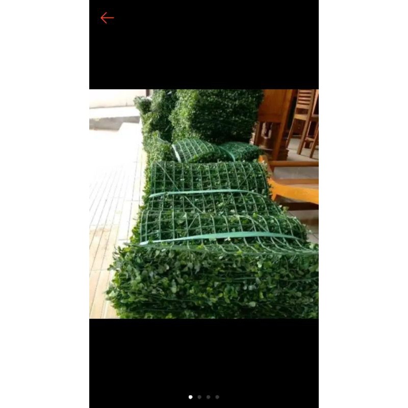 Jual tanaman rambat dolar sintetis-tanaman palsu artificial-tanaman ...