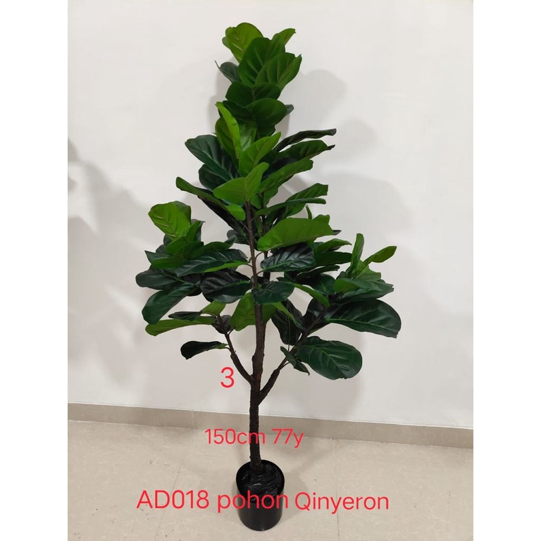 Jual POHON KETAPANG BIOLA/KETAPANG PLASTIK/BUNGA HIAS/BUNGA PLASTIK ...