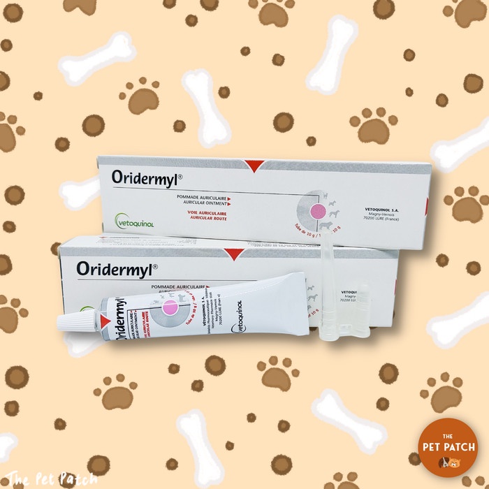 Jual Oridermyl Obat Antibiotik Kutu Telinga Anjing dan Kucing | Shopee ...