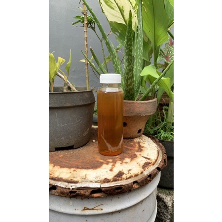 Jual Madu hutan ntt flores super isi bersih 300g | Shopee Indonesia