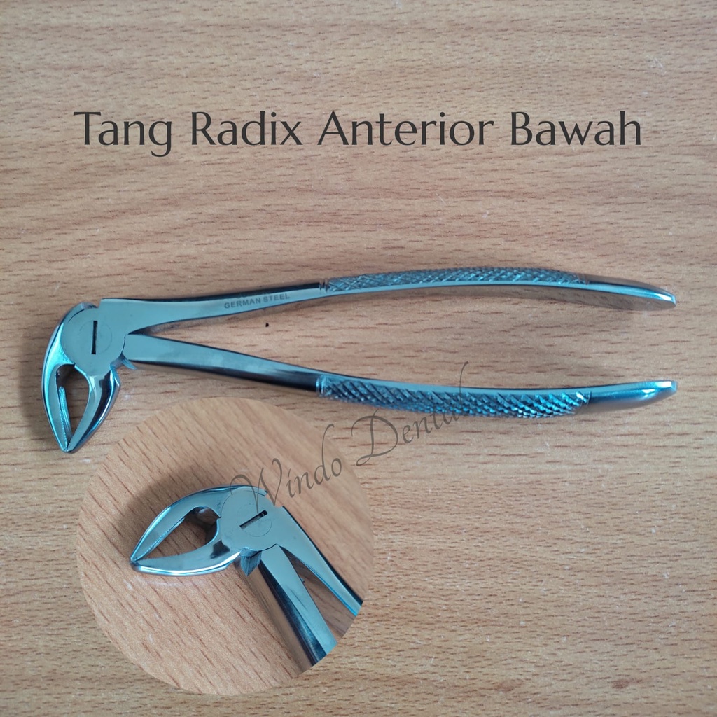 Jual DENTAL TANG CABUT GIGI DEWASA PER PCS ADULT TOOTH FORCEP / FORCEPT ...