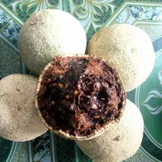 Jual Buah Kawis Terlengkap & Harga Terbaru Desember 2025 | Shopee Indonesia