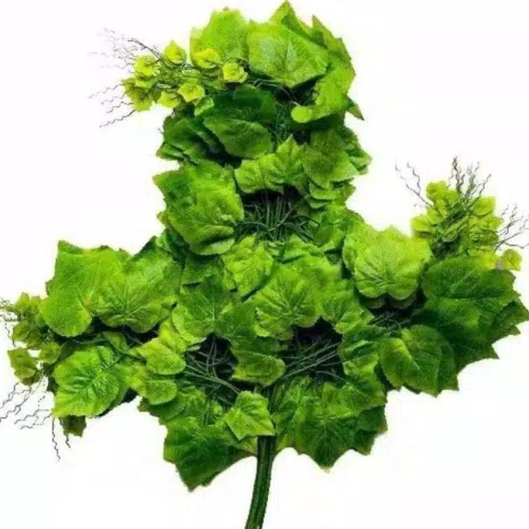 Jual [CUCI GUDANG] DAUN ANGGUR PLASTIK DEKORASI (LUSIN) TERMURAHH ...